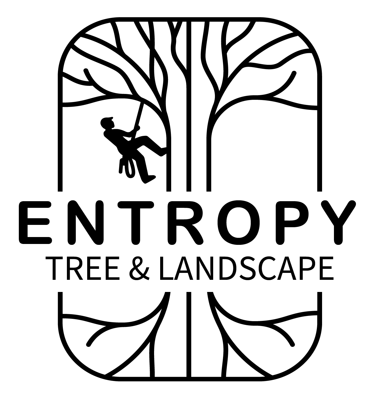 ENTROPY TREE & LANDSCAPE – "A Limb Above The Rest"